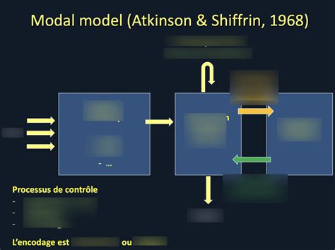 Schéma Modal Model Of Memory Atkinson And Shiffrin Diagram Quizlet