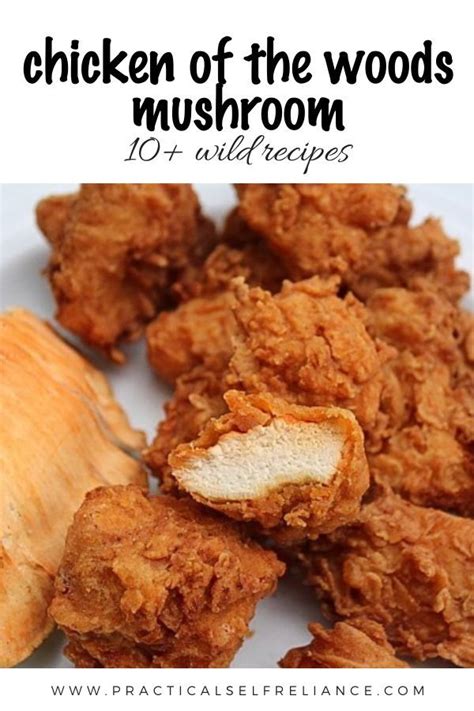 Chicken Of The Woods Mushroom Recipes Artofit