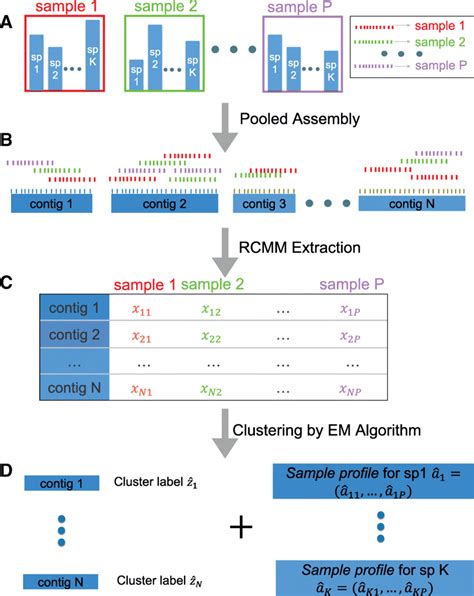 Metagen Pipeline A Sequencing The Dna Of P Metagenomic Samples B