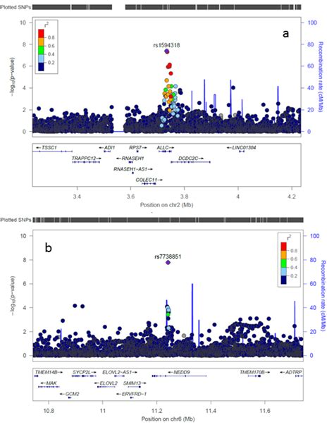 Regional Association Plots 2a Regional Association Plot For Rs1594318 Download Scientific