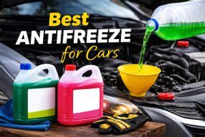 5 Best Antifreeze For Cars 2026 Review Know Vehicles