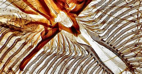 Thoughts On Architecture And Urbanism The Architectural Structures Of