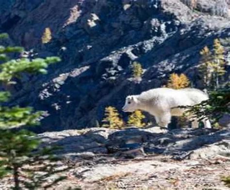 삶의 목적과 개인적인 가치 찾기