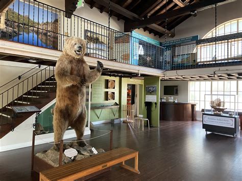 Pacific Grove Museum Of Natural History
