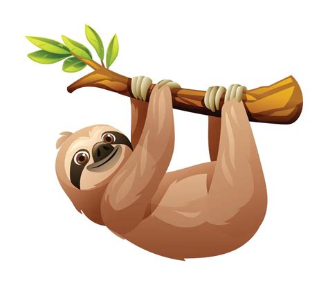 Sloth Hanging From Tree Branch Vector Cartoon Illustration Isolated On