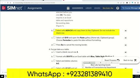 Simnet Excel Capstone Paroject Youtube