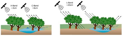How Sar Data Is Complementary To Optical · Up42