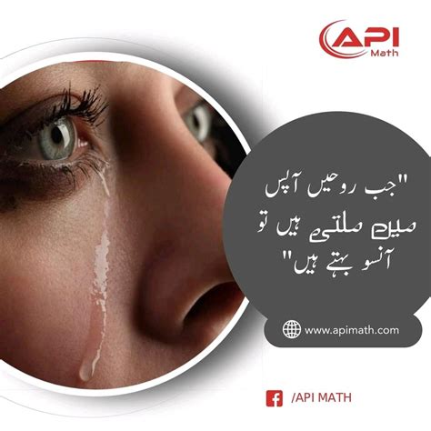 Apimath Education True Solutions Skills Islam Faith Free Api Math