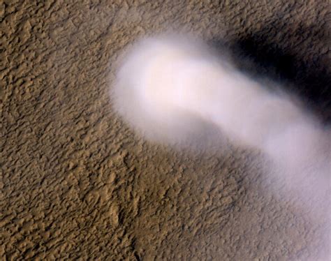 The Nymph Written By Stanley Wilkin At