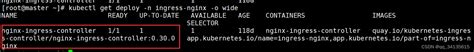 K8s 滚动升级nginx Ingress Controller版本和回退如何查看ingress 版本 Csdn博客