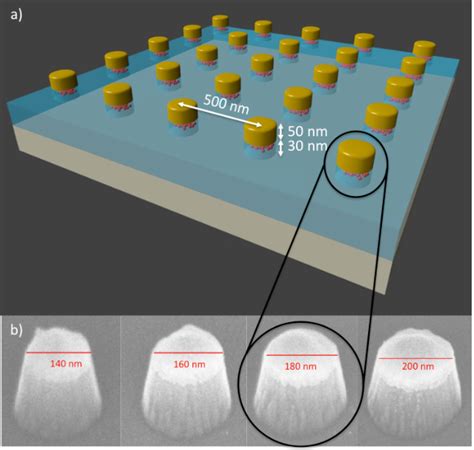 a schematic of the sample b sem micrograph showing single sio2