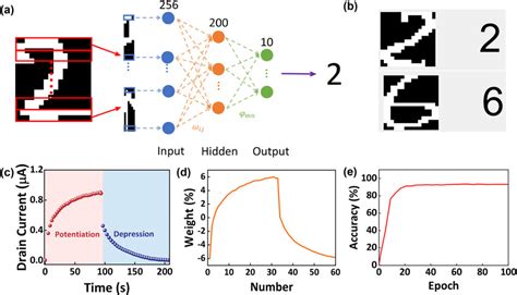 A Schematic Illustration Of Ann Simulation Using 256 Input Neurons Download Scientific