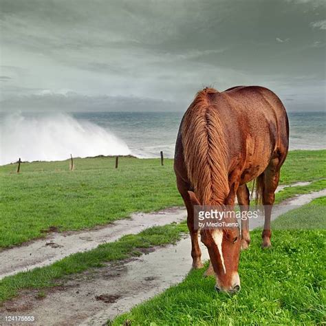 Inconsciente Photos And Premium High Res Pictures Getty Images