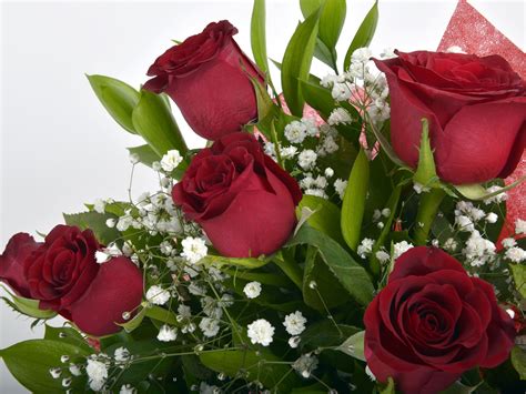 Гуллар расми Множество фото