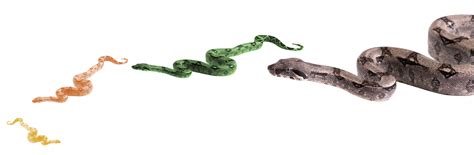 Python In Tableau Prep Simple Useful Scripts Vizpainter