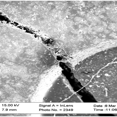Represent Layout Of Processor Size Interconnection And Array Of Download Scientific Diagram