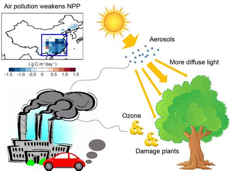 Effects Of Air Pollution On Ozone Layer Air Quality Index Aqi