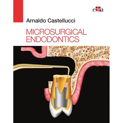 Microsurgical Endodontics Prof Arnaldo Castellucci Dentistry Book