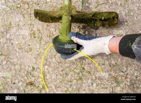 The Gardener Puts The Trimmer Head On The Mower Replacing The Line On A Lawn Mower Stock Photo