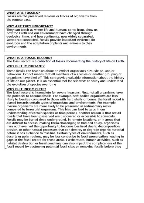 Fossils Human Bio Fossil Report What Are Fossils Fossils Are The Preserved Remains Or