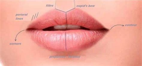 How To Best Design The Perfect Eyebrows