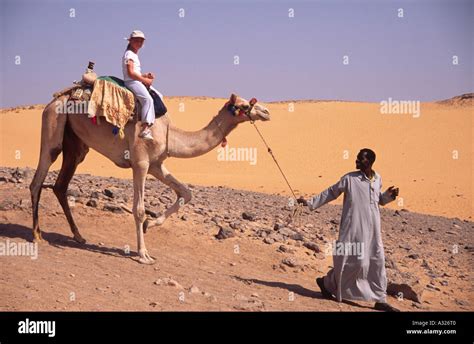 Horizontal Portrait Of Girl Riding Camel On Desert Safari In Egypt North Africa Stock Photo Alamy