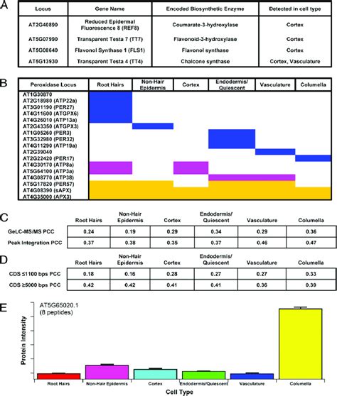 Data Integration With Metabolic Pathway And Transcriptome Data And Download Scientific Diagram