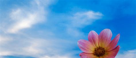 sap fiori elements list report 模版里表格列的默认显示与否的逻辑总结试读版 待注销