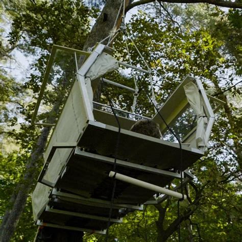 Artistree Raises A Telescopic Treehouse In California