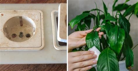 ბინძური ნივთები ბინაში რომელთა გაწმენდა ყველას ავიწყდება რჩევები