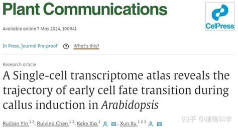 华大生命科学研究院徐讯团队构建愈伤组织诱导的详细单细胞转录图谱 知乎