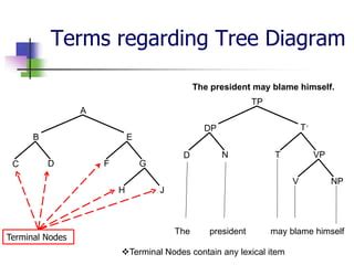 Basic Terms Of Tree Diagram PPT