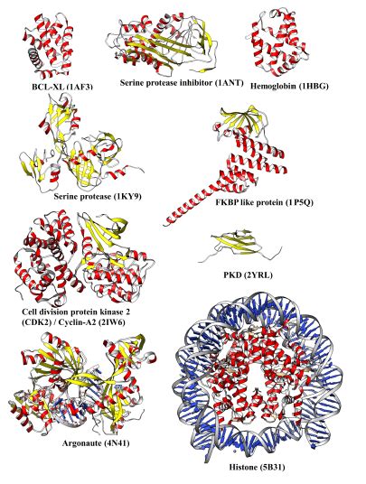 Github Ncnucsie Protein
