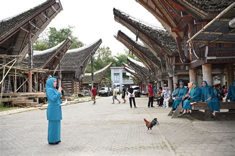 Sofha Marwah Kagumi Keindahan Toraja — Newsurban
