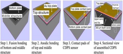 Cdps Structure Assembly Step 1 Step 4 Download Scientific Diagram