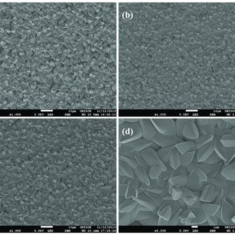 Sem Micrographs Of The Cdco 3 Samples Deposited At A 10 B 11 And Download Scientific
