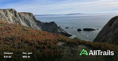 Bodega Head Via Upper Dunes Salmon Creek Beach And Bodega Head Trail