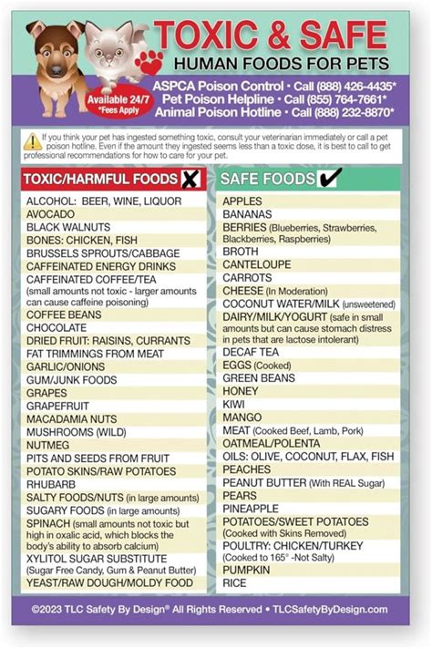 Most Dangerous Foods For Dogs Poster At Dane Lott Blog