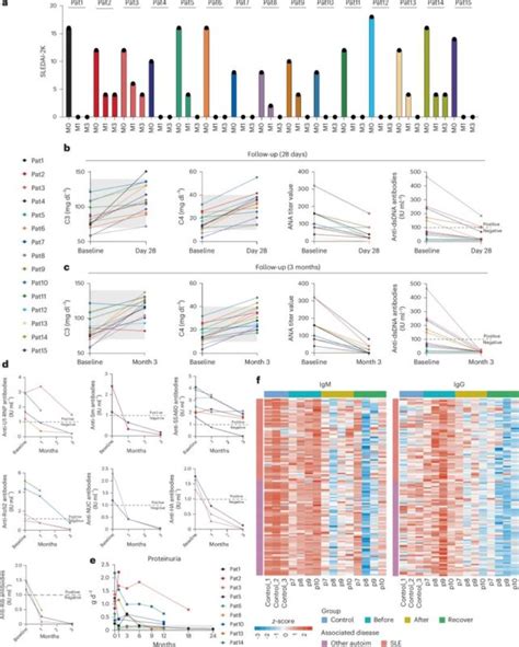 Nicola Ferrari Co Infusion Of Cd19 Bcma Targeting Car T Cells In Treatment Refractory Sle