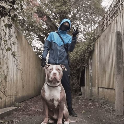 Young Ls Bio Birthday Age Video Cameo
