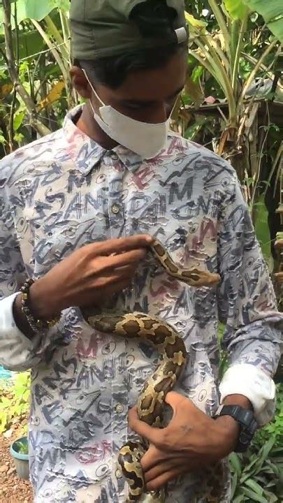 ඒ ආදරේ ලබන්න පිං කරන්න ඕනී ️🐍🌳 Youtube