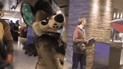 Fursuit S — Source