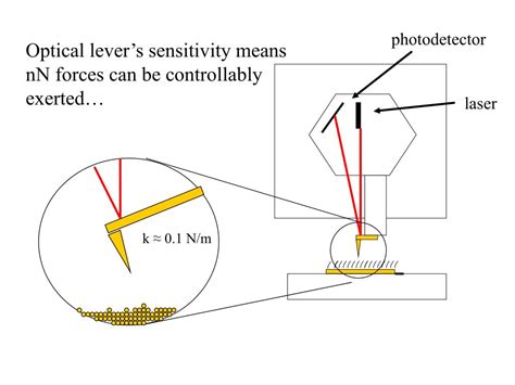 Ppt Design For Afm Demonstration Powerpoint Presentation Free Download Id 3253551