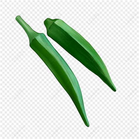 오크라 양고기 클립 일러스트 아트가을녹색 채소 Png 일러스트 무료 다운로드 Lovepik