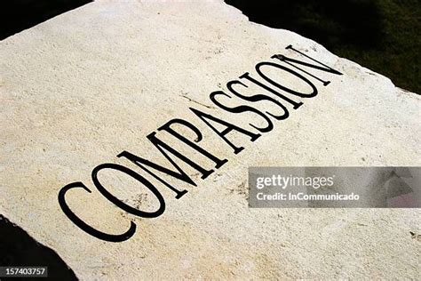 Character Trait Photos And Premium High Res Pictures Getty Images Character Trait Photos And Premium High Res Pictures Getty Images