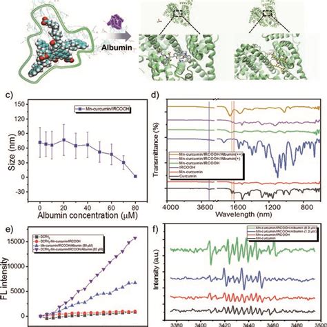 Activatable Nanozymes Vary From Ros Scavenging To Oxidase Like Mimics Download Scientific