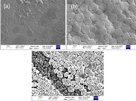 SEM Images Of A CMCS PVA B 5wt And C 10wt Boehmite Incorporated CMCS