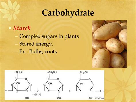 How Are Sugars Stored In Plants At Thomas Russo Blog