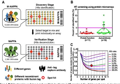 Figure 1 From Multiplexed Nucleic Acid Programmable Protein Arrays