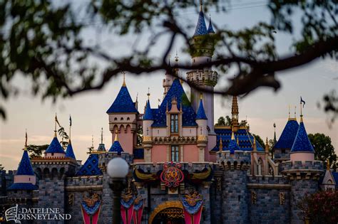 Disneyland Sleeping Beauty Castle 70th Anniversary Decorations Dsc6538